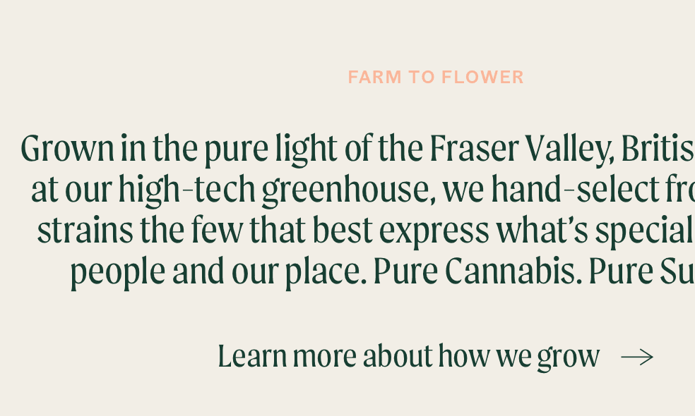 The 40 Best Fonts on Adobe Fonts (Typekit) for 2024 · Typewolf