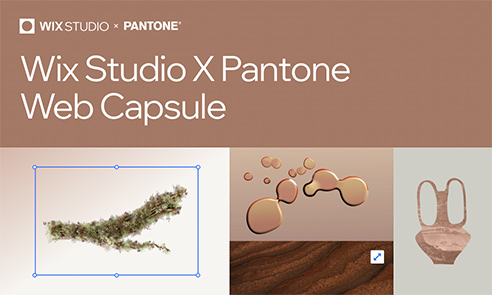 Ginto Font Combinations & Free Alternatives · Typewolf