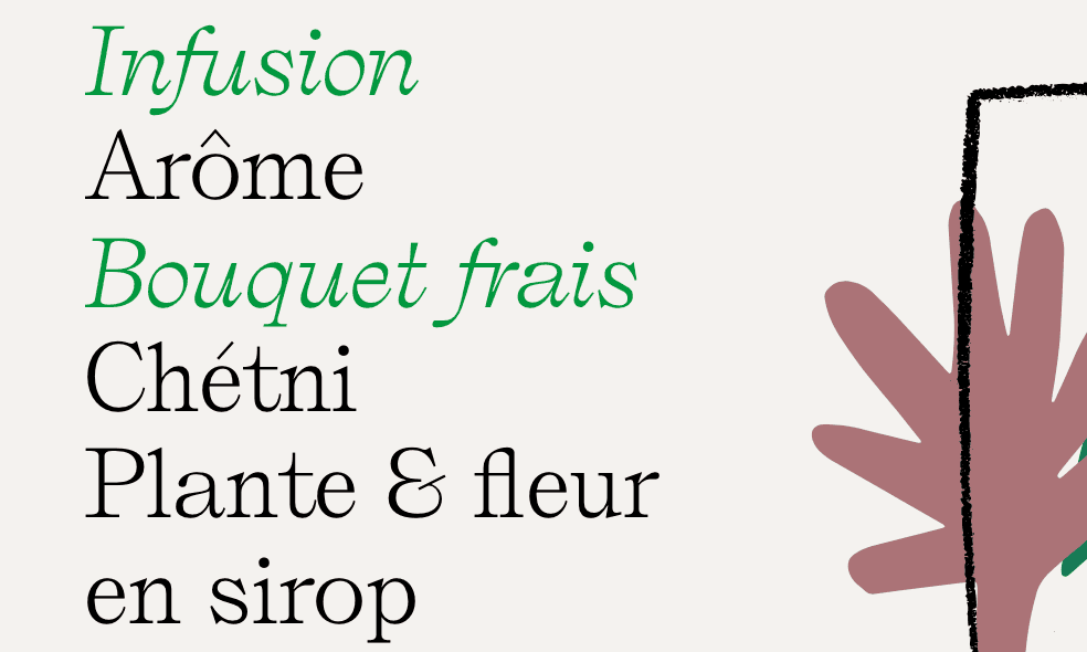 Raleway Font Combinations & Similar Fonts · Typewolf