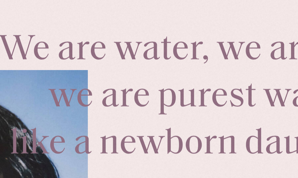 Saol Text Font Combinations & Free Alternatives · Typewolf