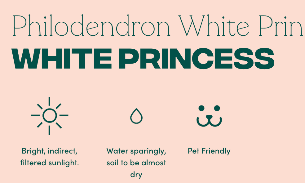 Integral CF Font Combinations & Free Alternatives · Typewolf