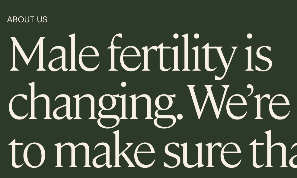 Cambon Font Combinations & Free Alternatives · Typewolf