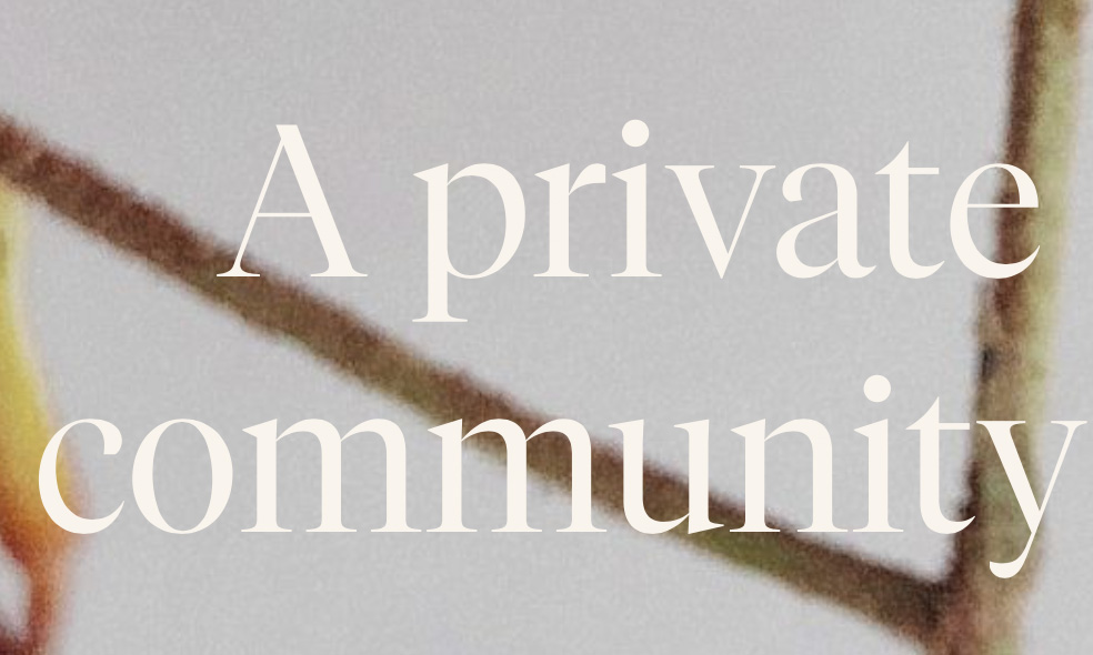 Tiempos Text Font Combinations & Free Alternatives · Typewolf