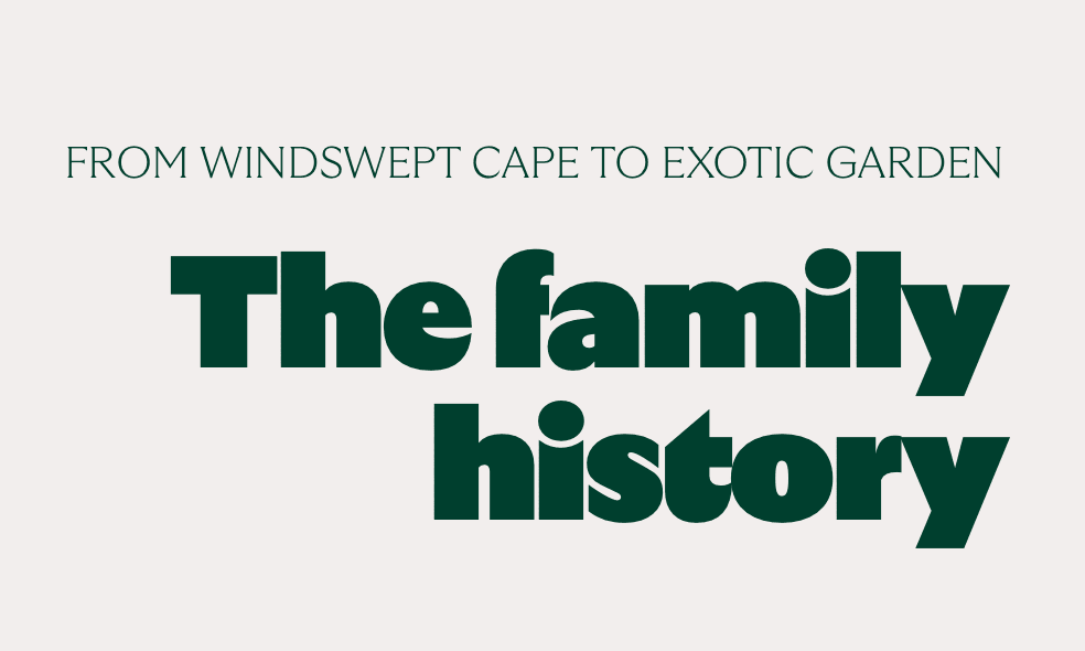 GT Ultra Font Combinations & Free Alternatives · Typewolf