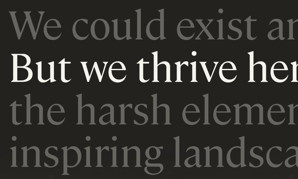 Cambon Font Combinations & Free Alternatives · Typewolf